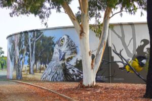 Experience - Visit Kyabram